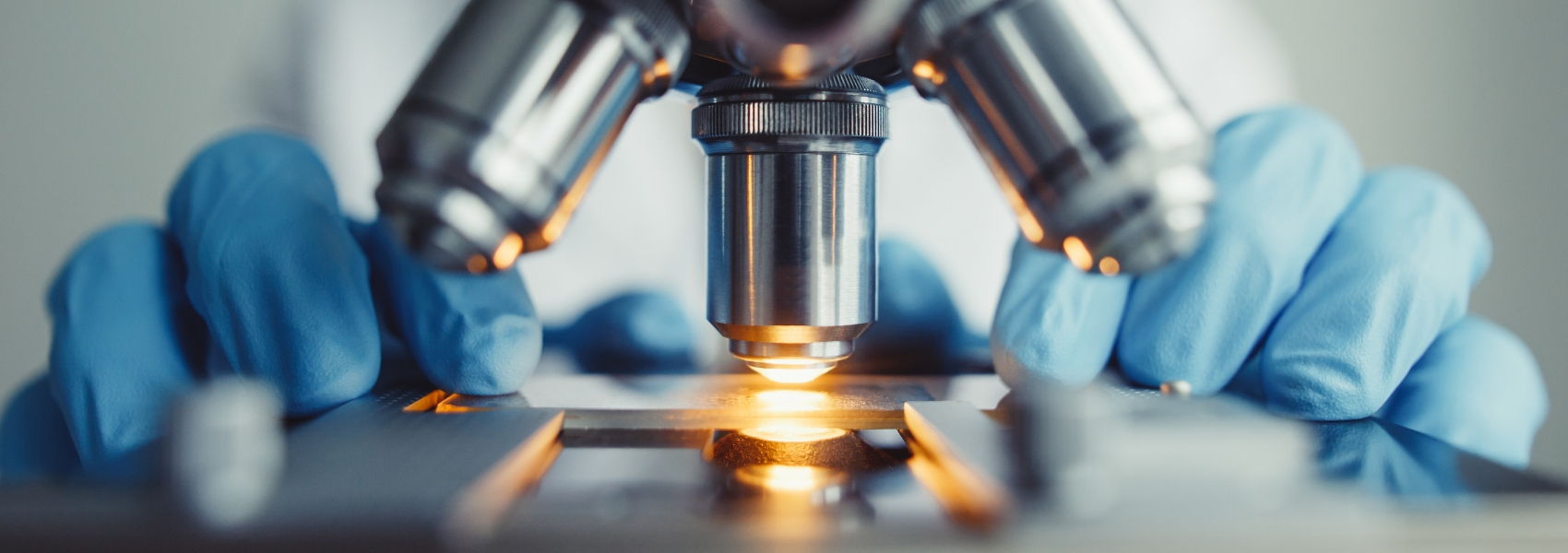 Estudo traça cenário sobre setor da biotecnologia em Portugal ...