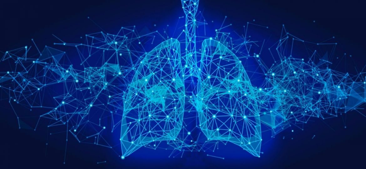 Especialistas identificam mecanismo da pieira, que pode melhorar o ...