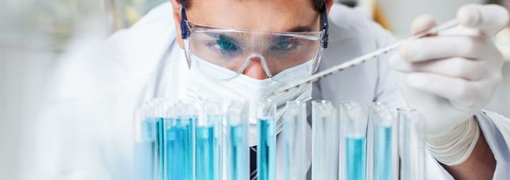 Novas descobertas sobre bactérias que aumentam o risco de cancro do ...