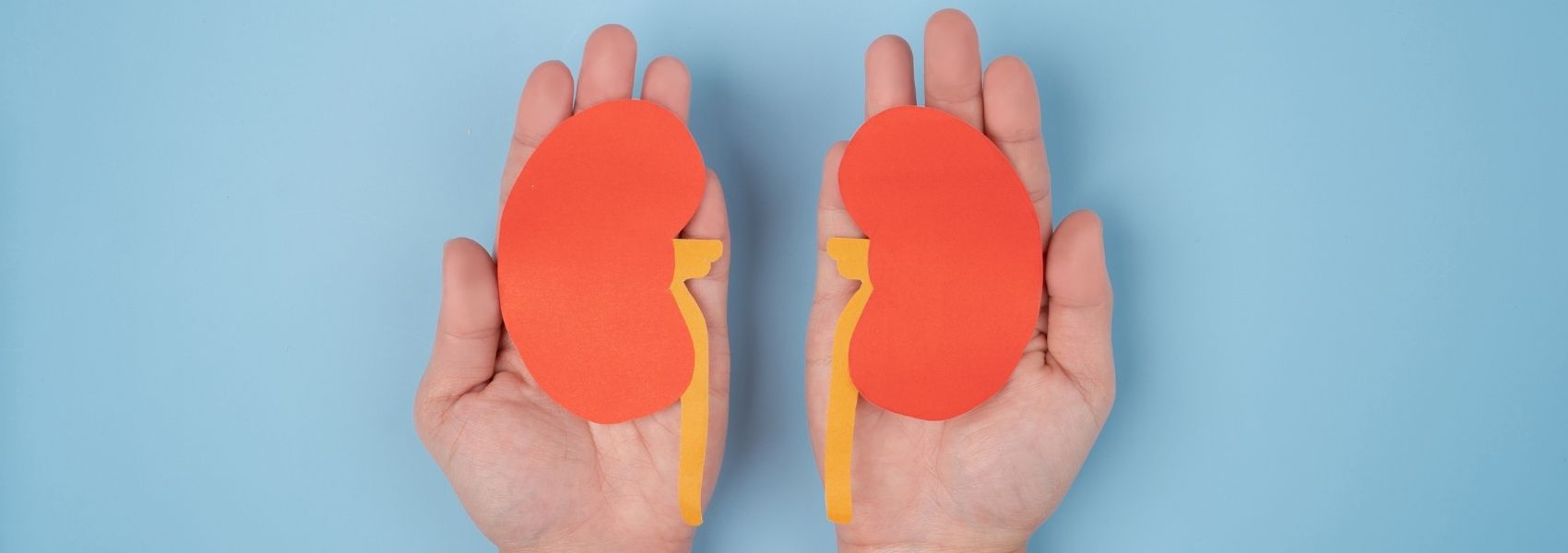 Sabe-se pouco sobre o rim e os fatores de risco para a doença renal ...