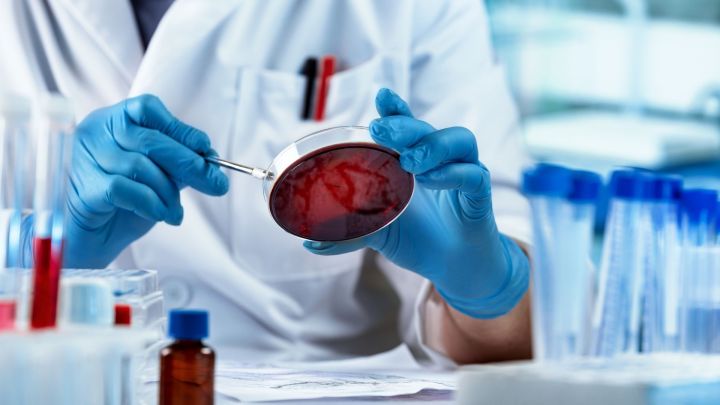 Uma em cada 8 mortes em 2019 associadas a infeções bacterianas ...