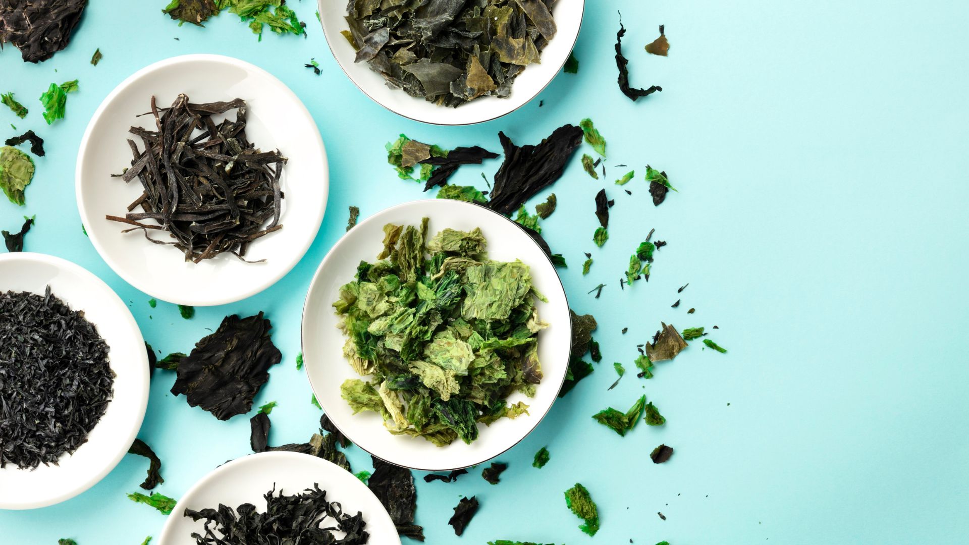 Já ouviu falar na ulva? Saiba porque é que deveria incluir esta alga na ...