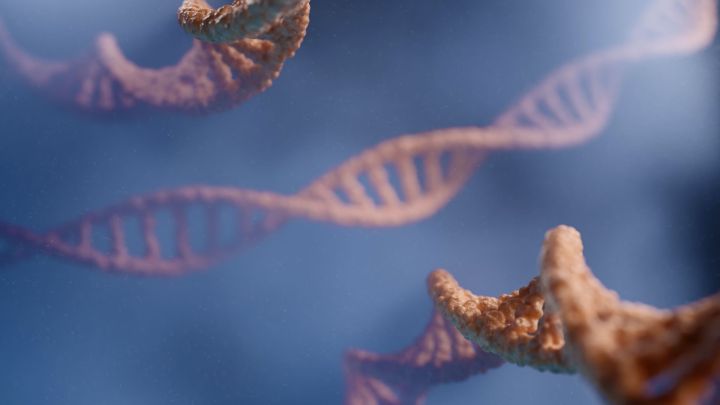 ADN antigo - Universidade de Coimbra vai criar o primeiro laboratório em Portugal