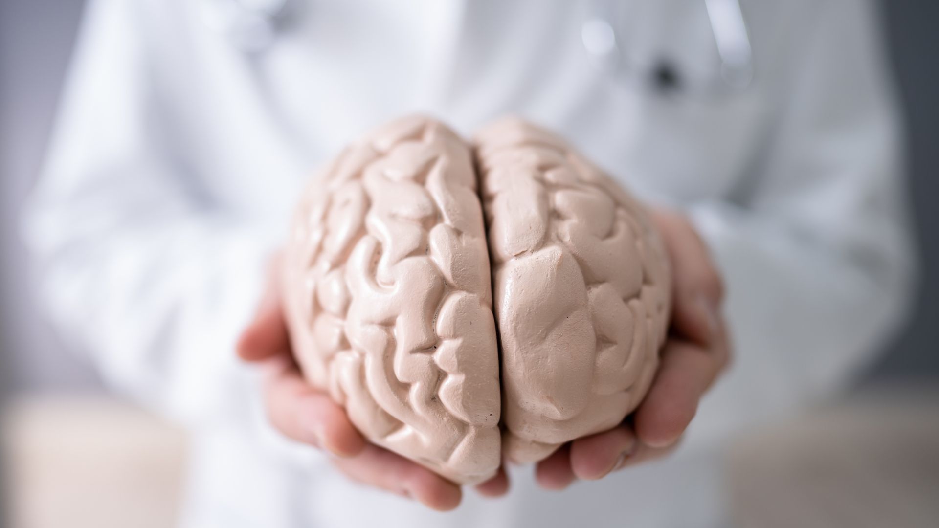 Cientistas revelam como o cérebro consegue antecipar cenários